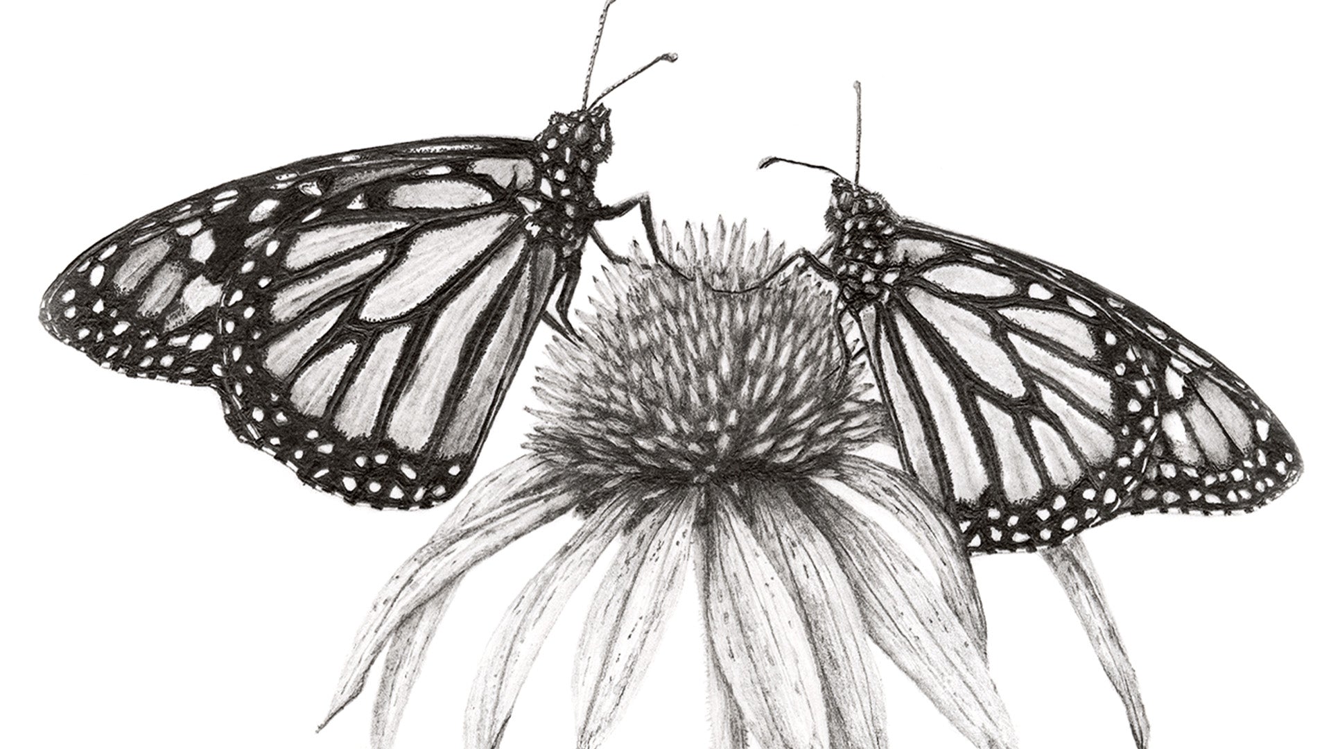 EP 128 :: Mike Hendley on Becoming a Better Artist – Etchr Lab